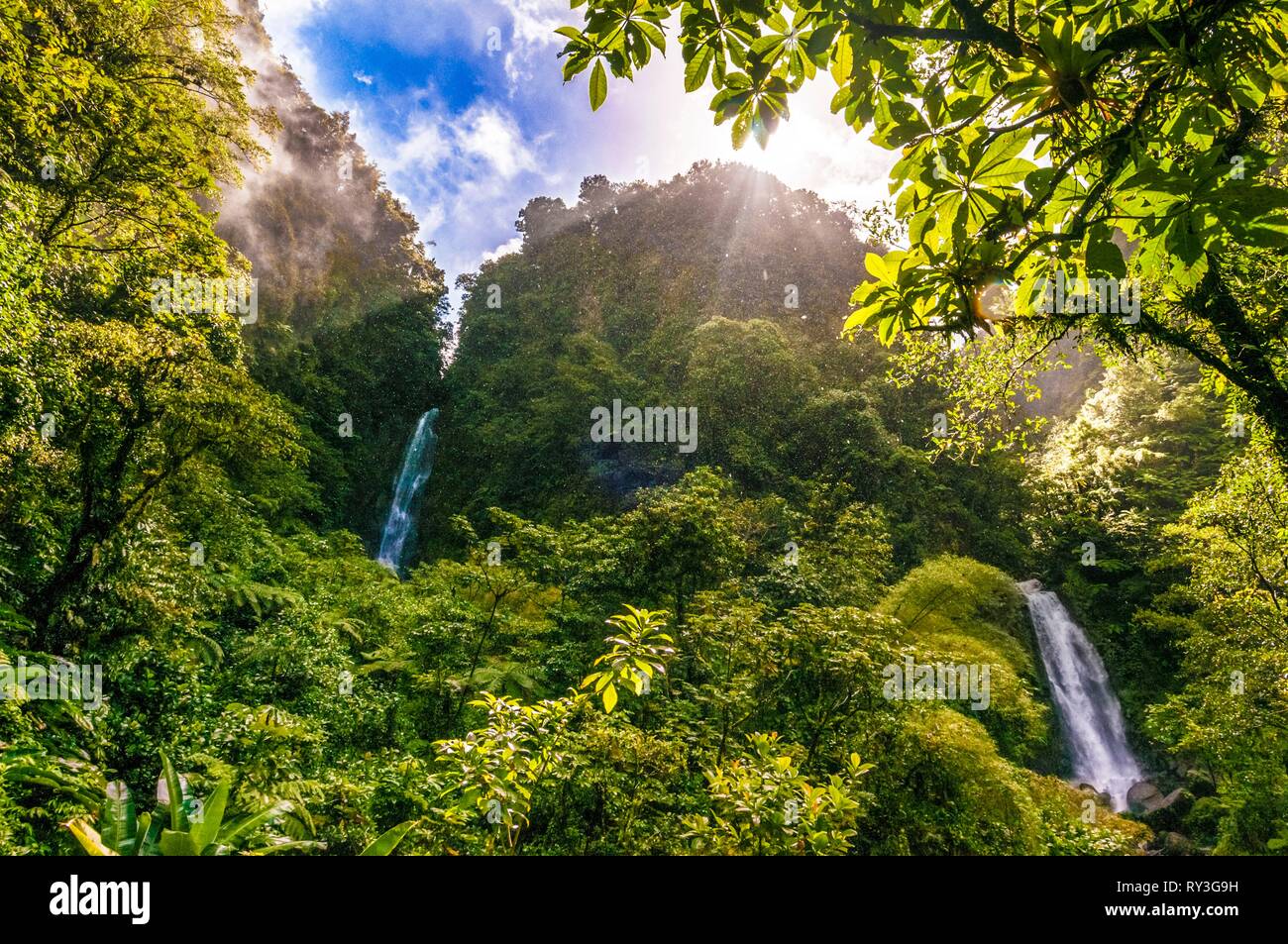 Dominica, Morne Trois Pitons National Park inscribed on the World ...