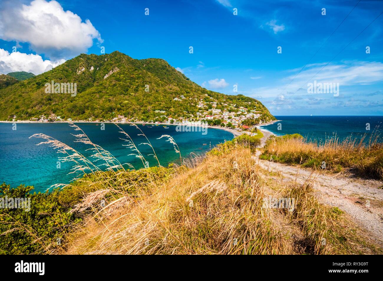 Scotts head dominica hi-res stock photography and images - Alamy