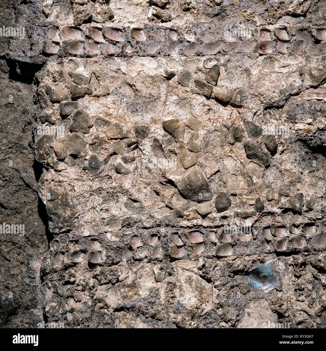 Italy, Lazio, Rome, Roman archeology - Rome underground - Nymphaeum of ...
