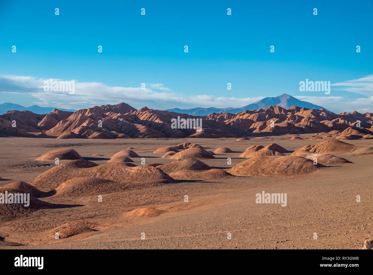 Argentina, Salta province, Puna desert, Cordillera near Tolar Grande ...