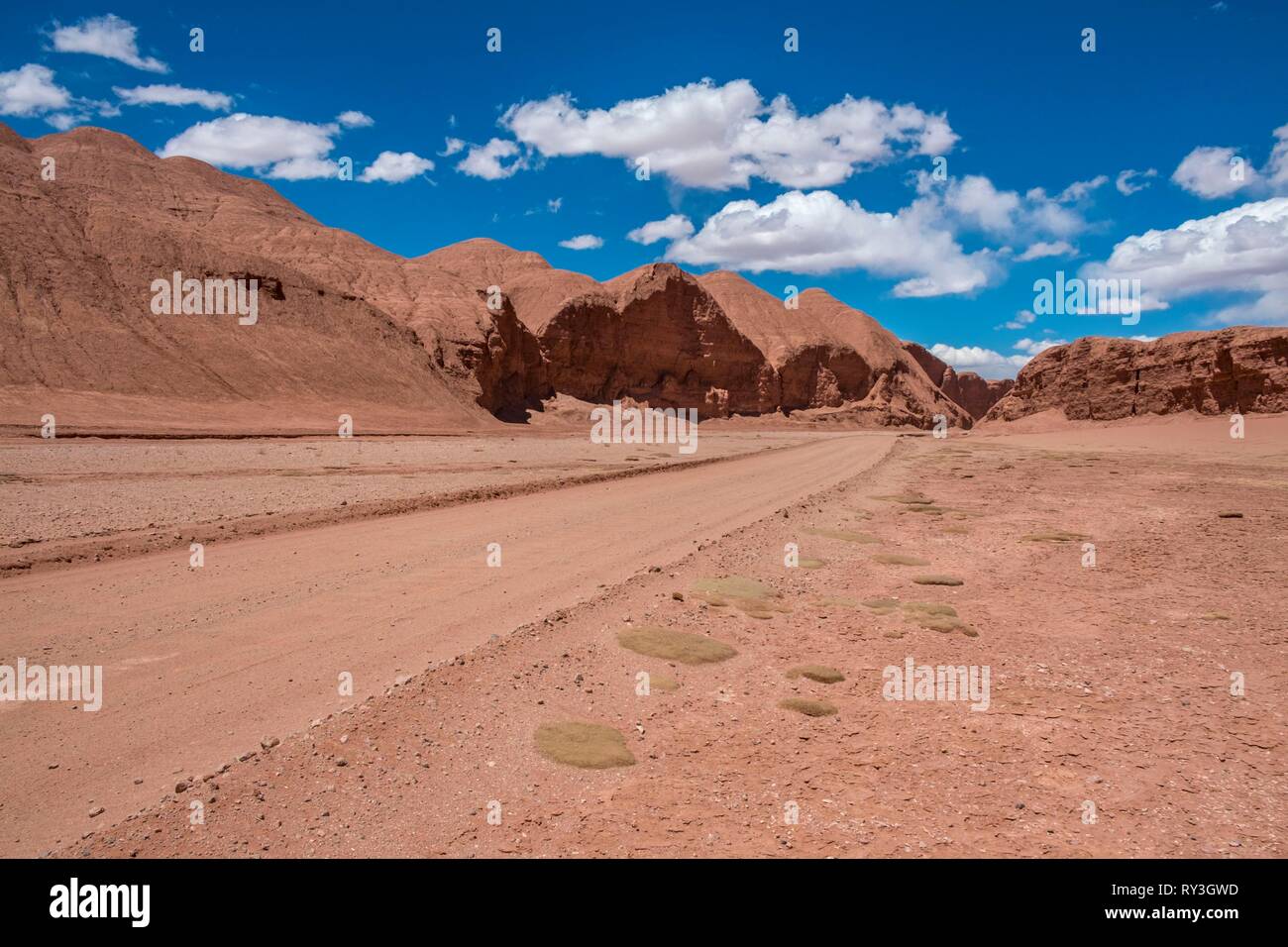 Argentina, Salta province, Puna desert, road 27, desierto Del Diablo ...