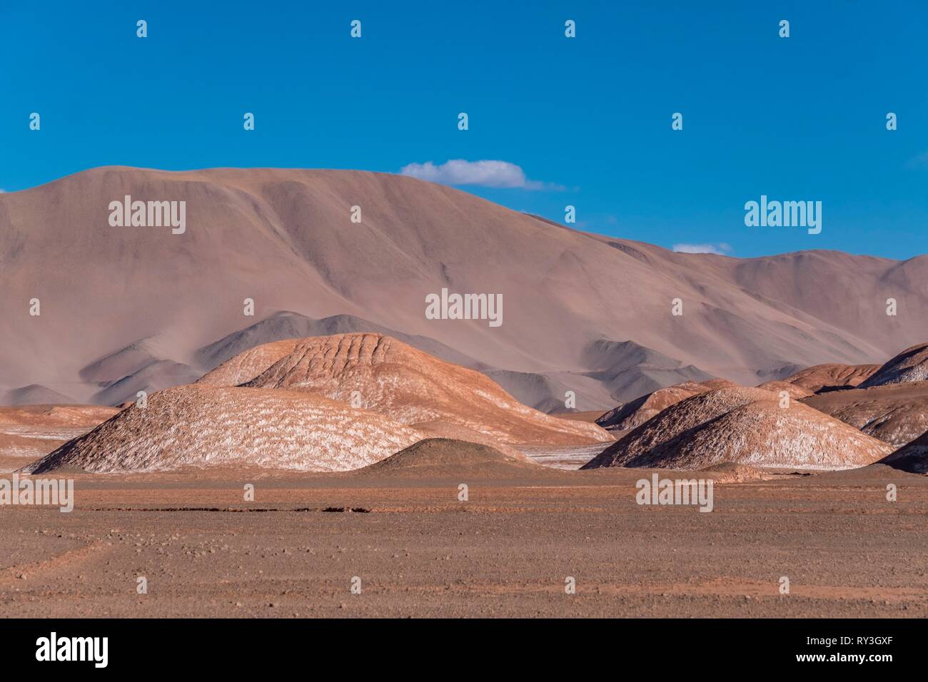 Argentina, Salta province, Puna desert, Cordillera near Tolar Grande ...