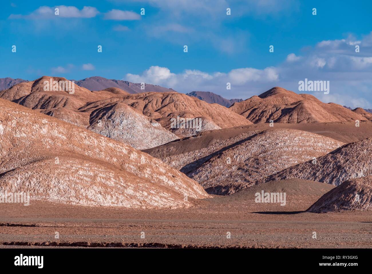 Argentina, Salta province, Puna desert, Cordillera near Tolar Grande ...