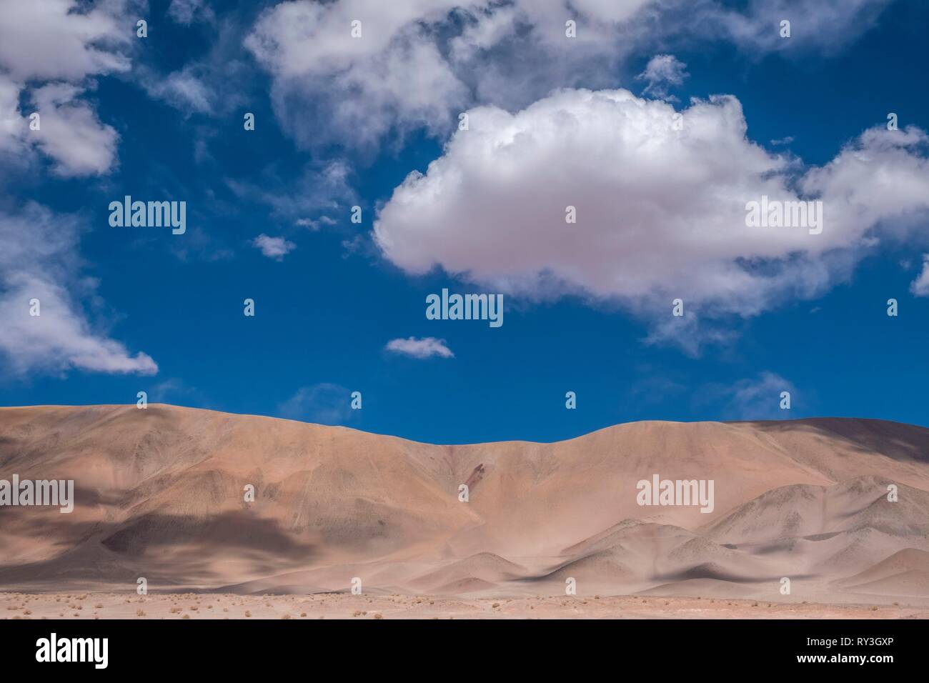 Argentina, Salta province, Puna desert, Cordillera, Tolar Grande Stock ...
