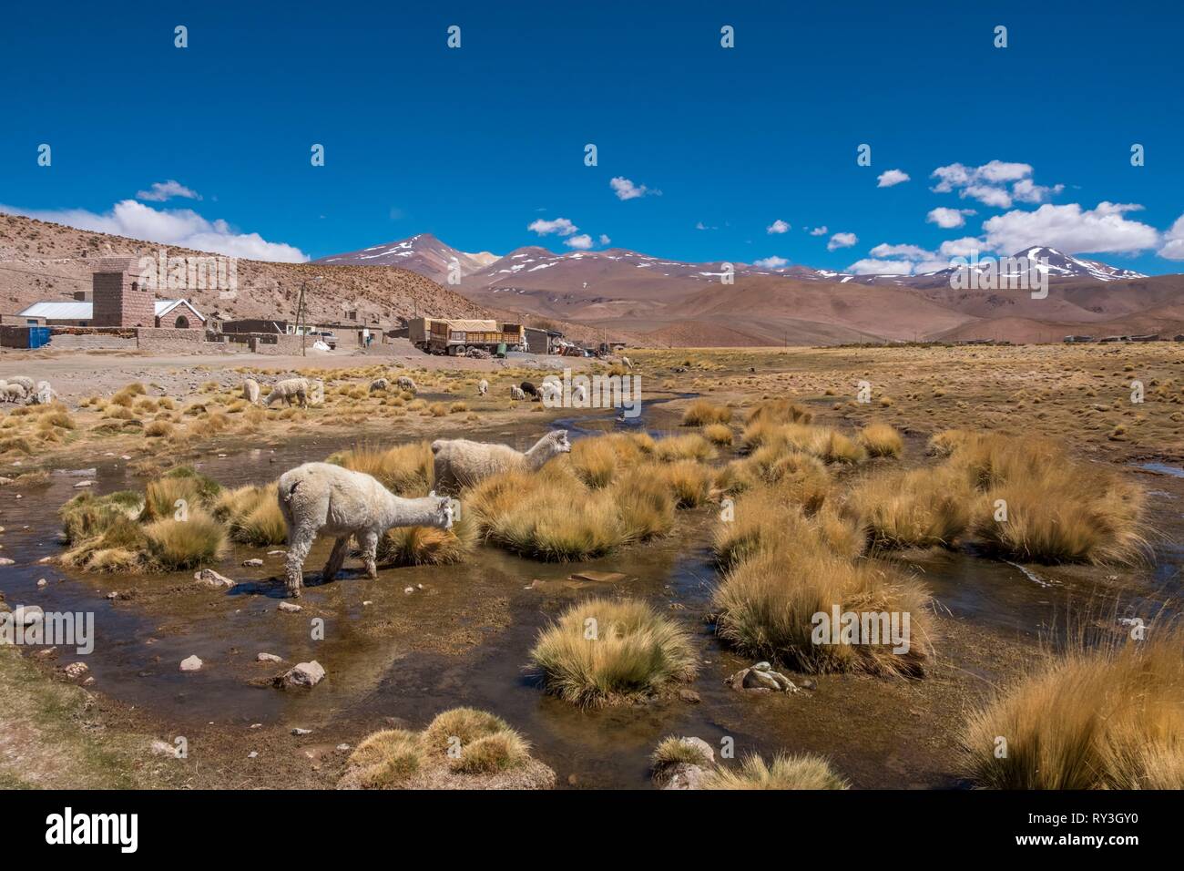 Santa rosa de los pastos grandes hi-res stock photography and images ...