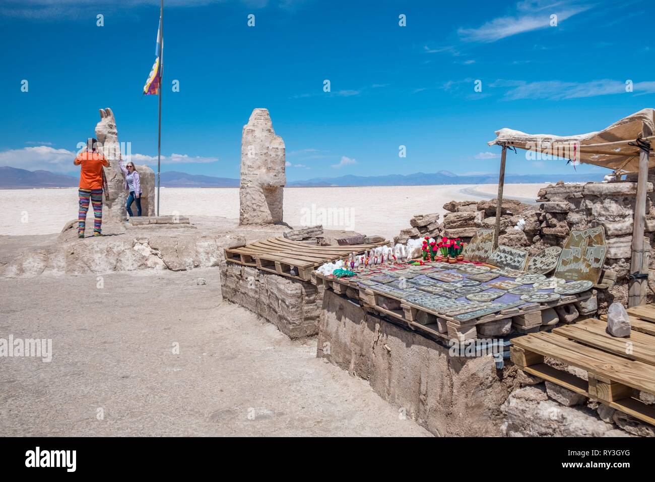 Argentina, Salta province, Puna desert, San Antonio de Los Cobres, Salt ...