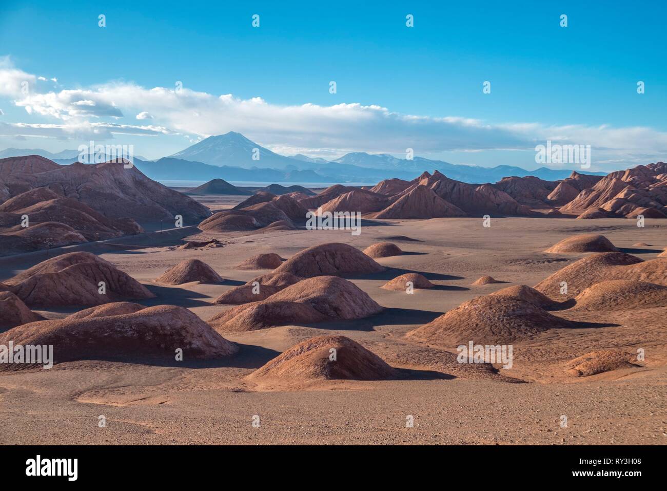 Argentina, Salta province, Puna desert, Cordillera near Tolar Grande ...