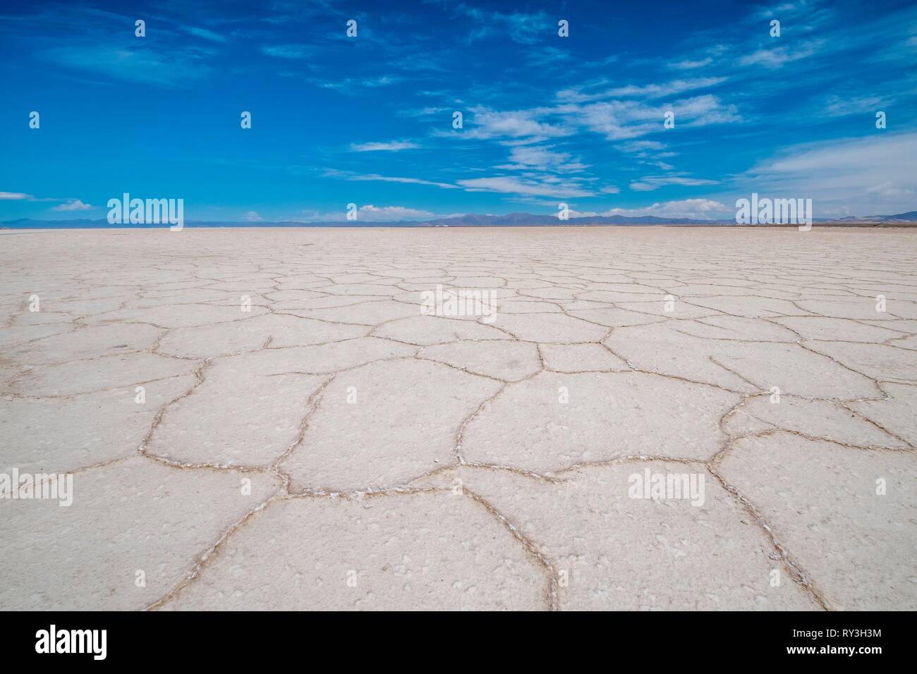 Argentina, Salta province, Puna desert, San Antonio de Los Cobres, Salt ...