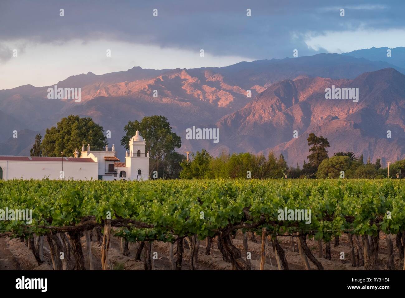Cafayate bodega hi-res stock photography and images - Alamy