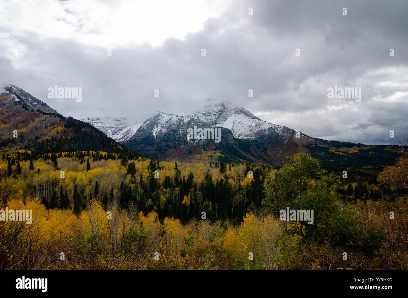 Fall at the base of Mount Timpanogos Stock Photo - Alamy