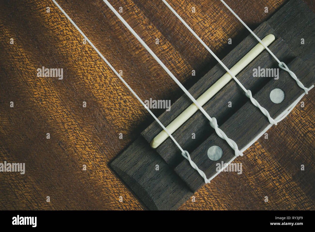 Ukulele bridge saddle and string. Suitable for background music ...