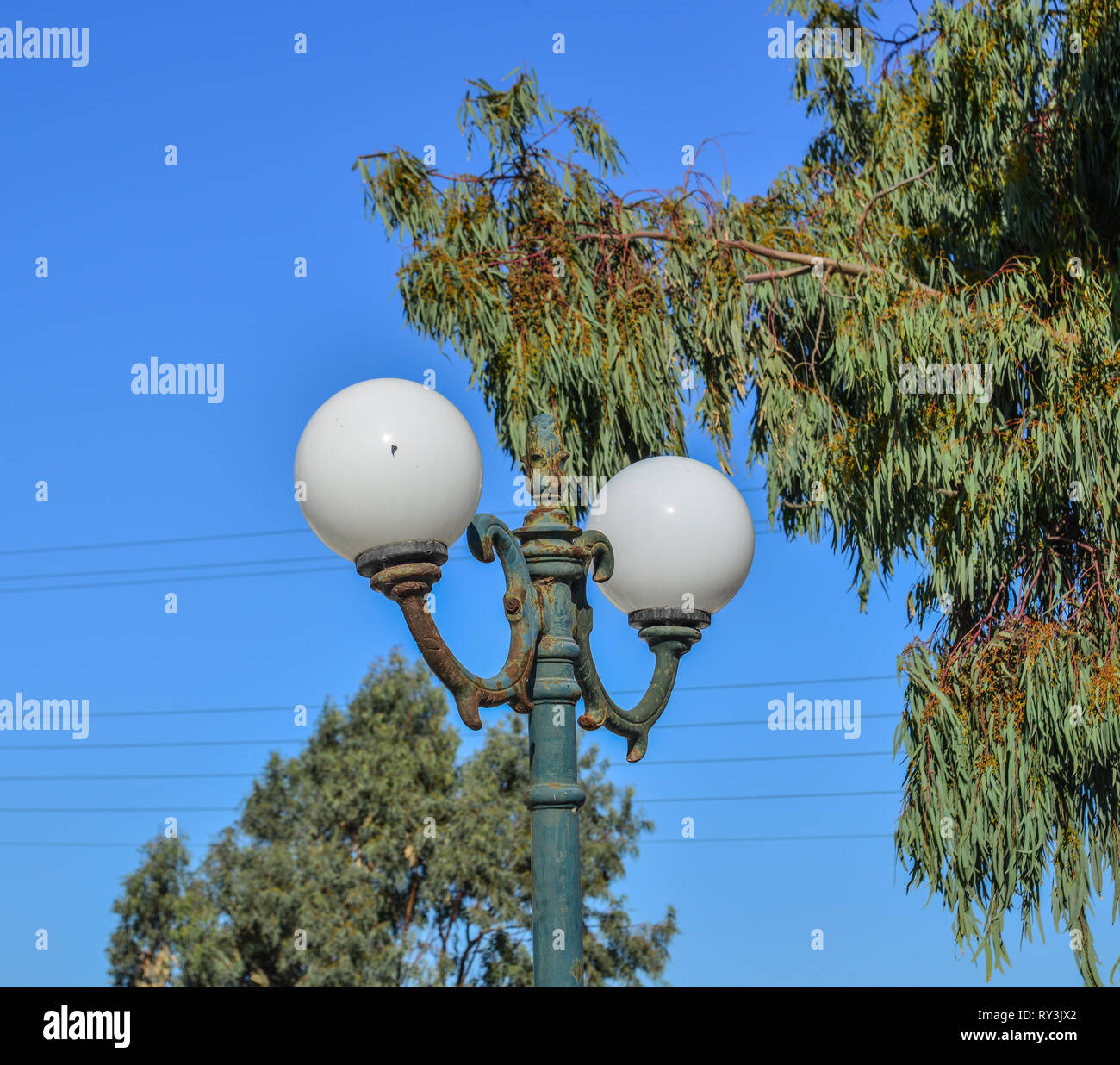 Decorative street lamp post trees in hi-res stock photography and ...