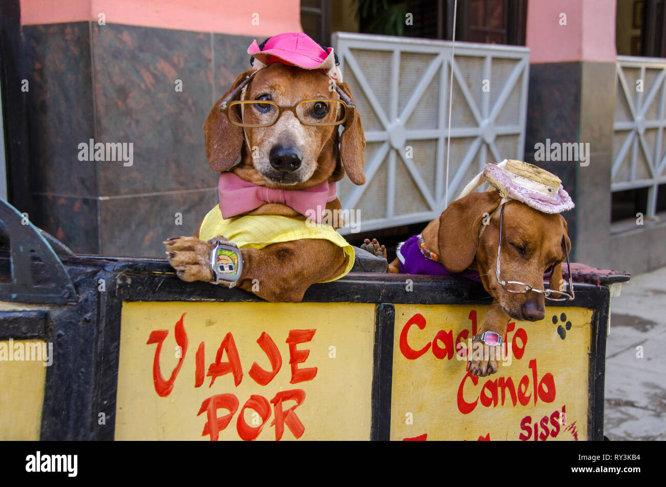 Havana living hi-res stock photography and images - Alamy
