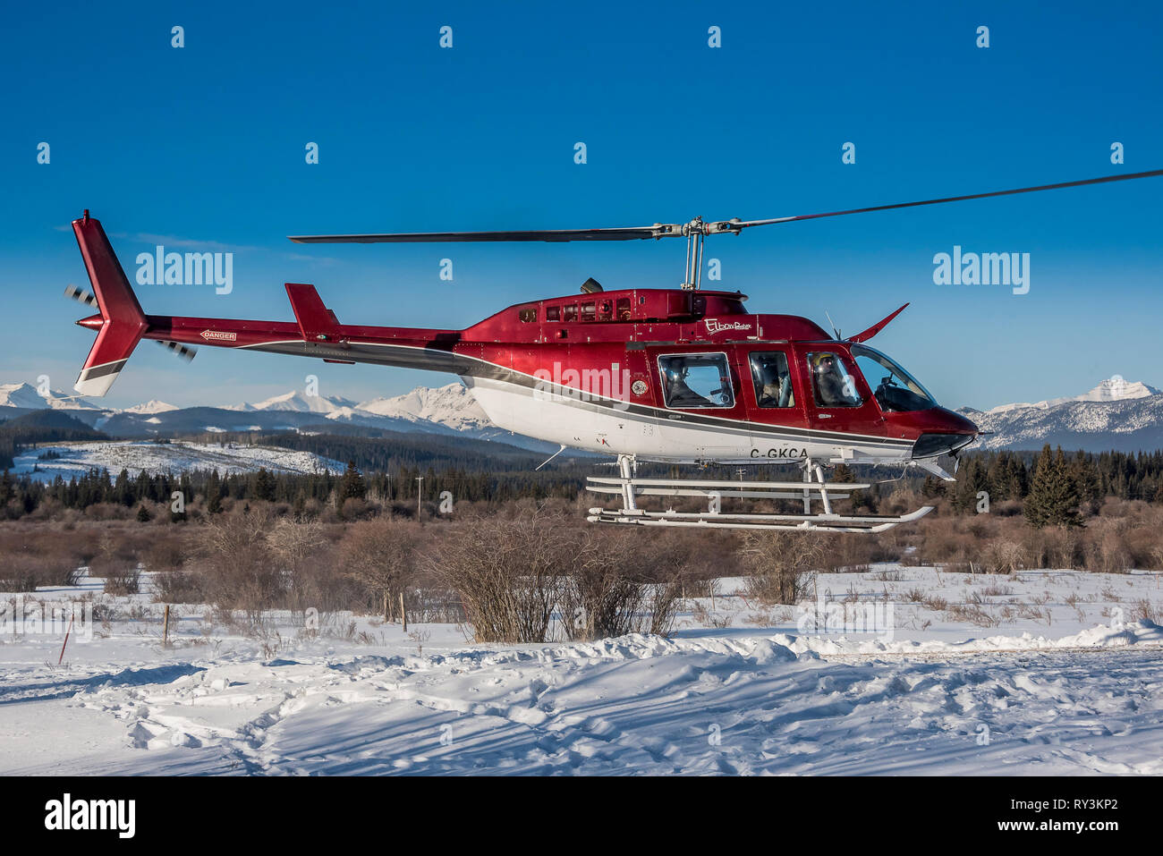 Elbow River helicopter takes off to count wild horses along Forestry ...