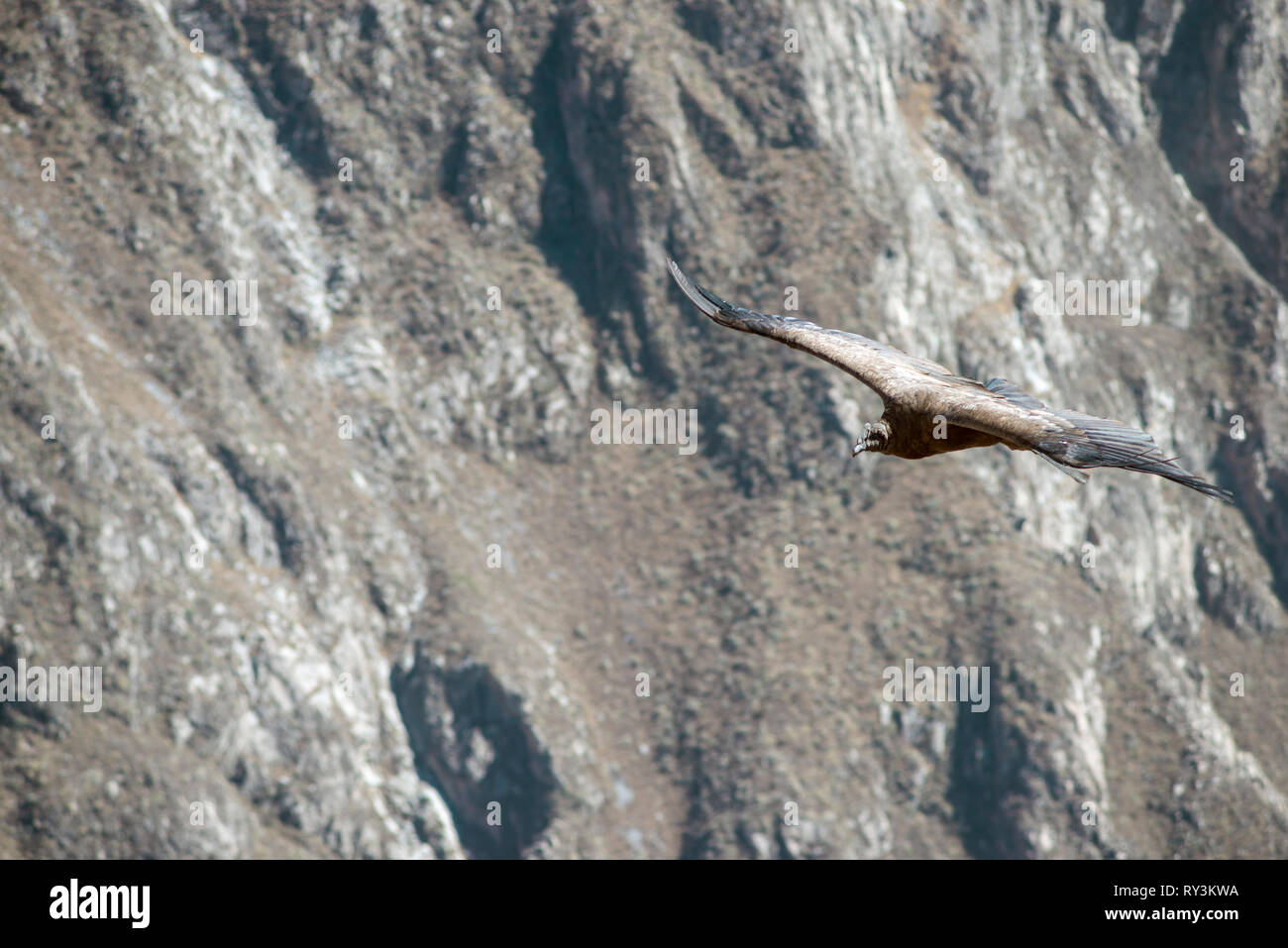 Slope flying hi-res stock photography and images - Alamy