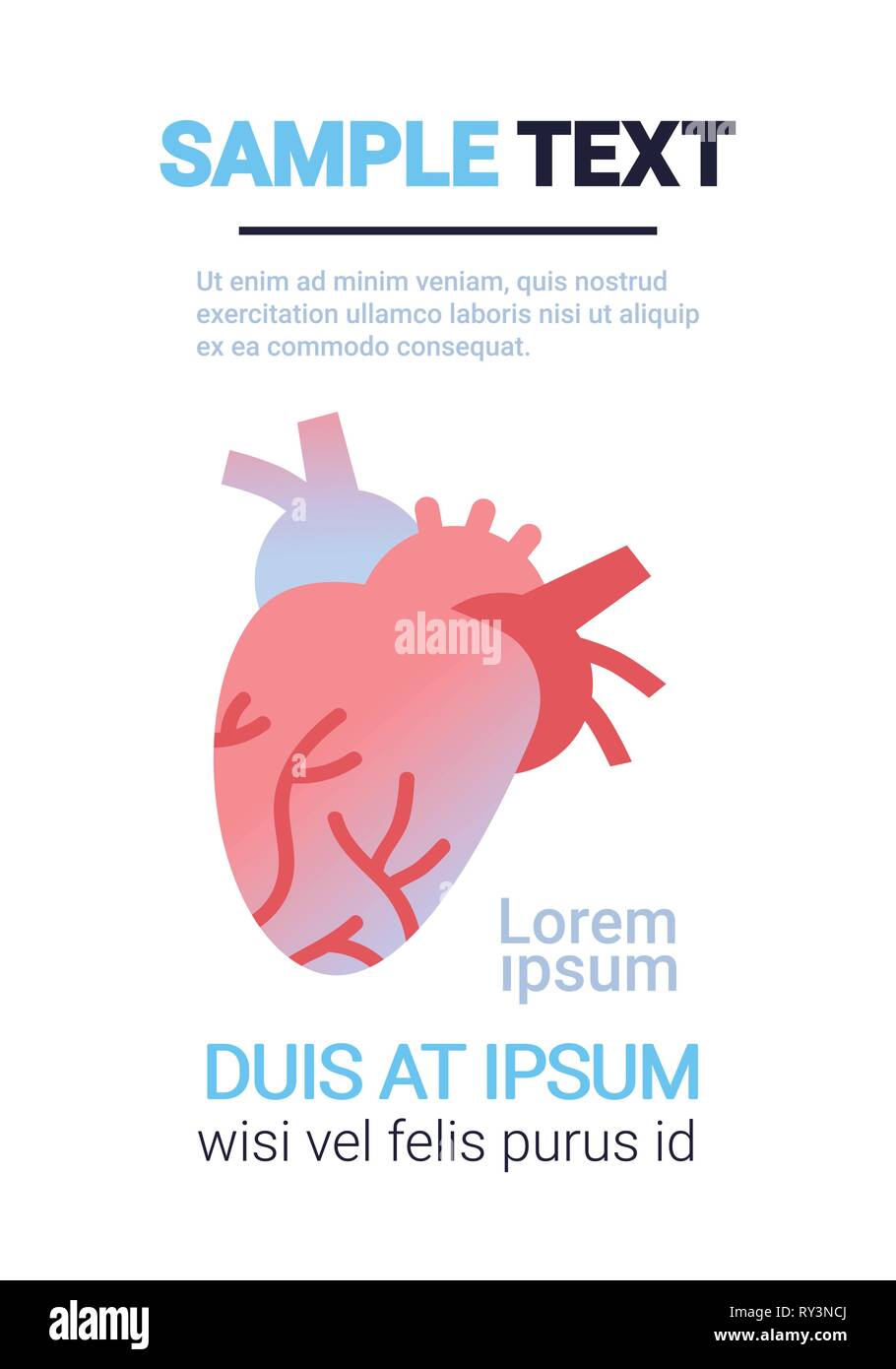 anatomical heart icon human body organ anatomy healthcare medical ...