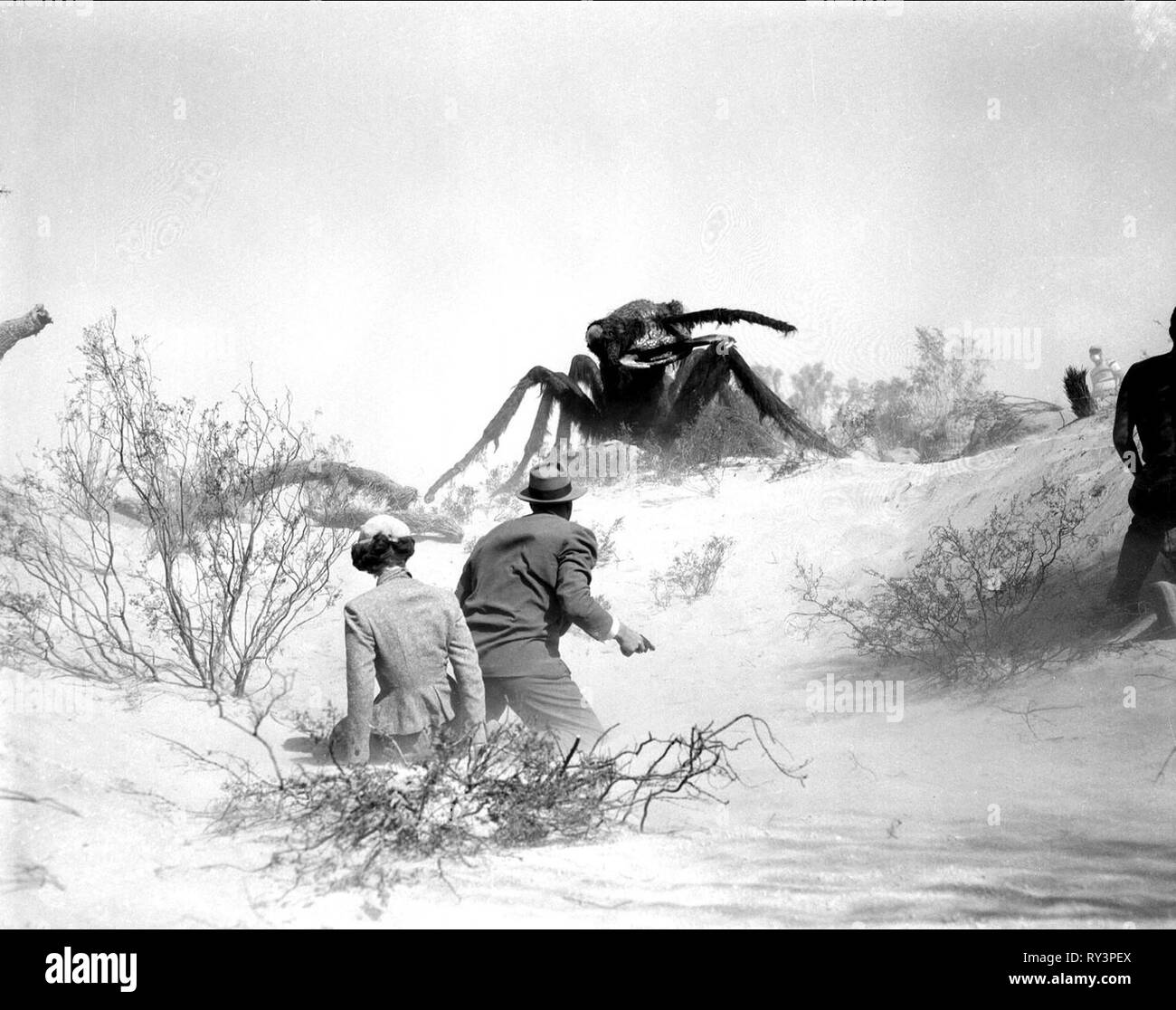 Them (1954) james arness hi-res stock photography and images - Alamy