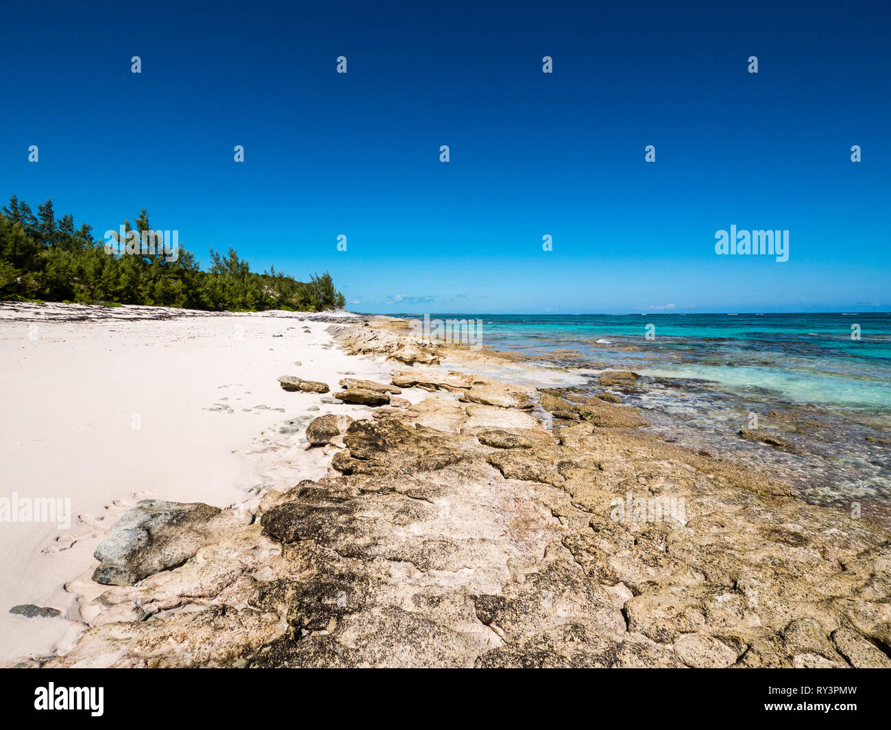 Coral, White Road Beach, Remote Tropical Beach, Rock Sound, Eleuthera ...