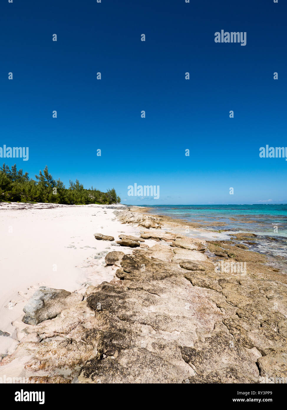 Coral, White Road Beach, Remote Tropical Beach, Rock Sound, Eleuthera ...
