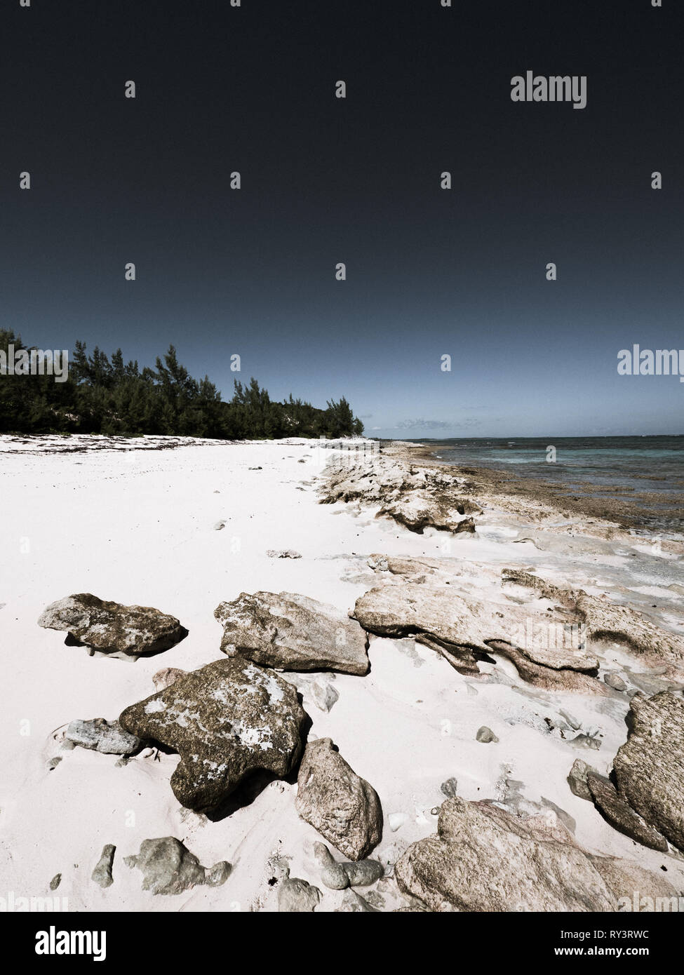 Coral, White Road Beach, Remote Tropical Beach, Rock Sound, Eleuthera ...