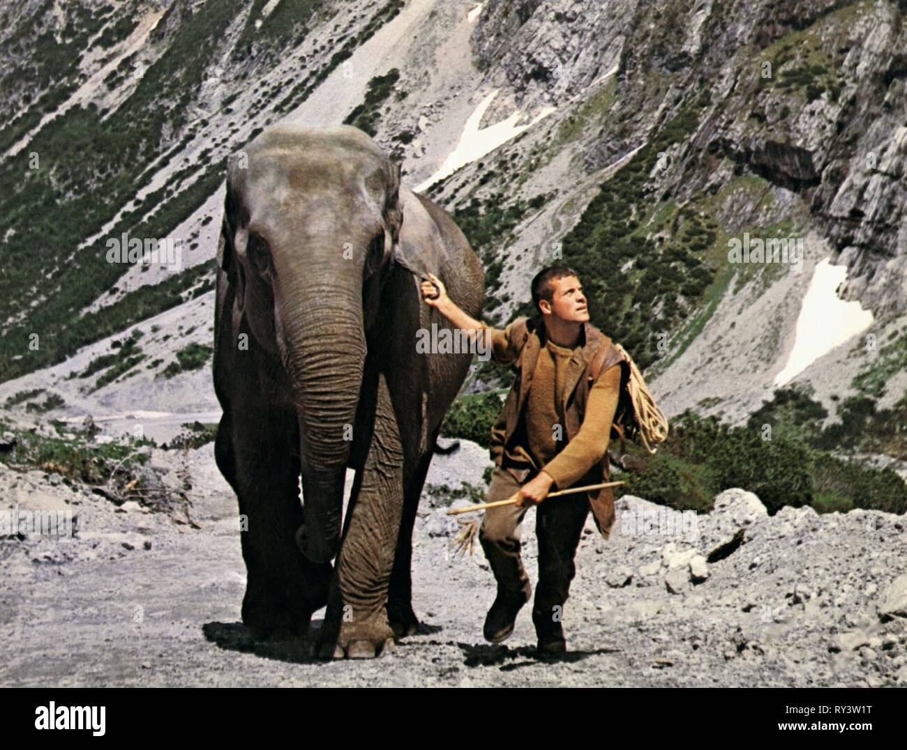 REED,ELEPHANT, HANNIBAL BROOKS, 1969 Stock Photo - Alamy