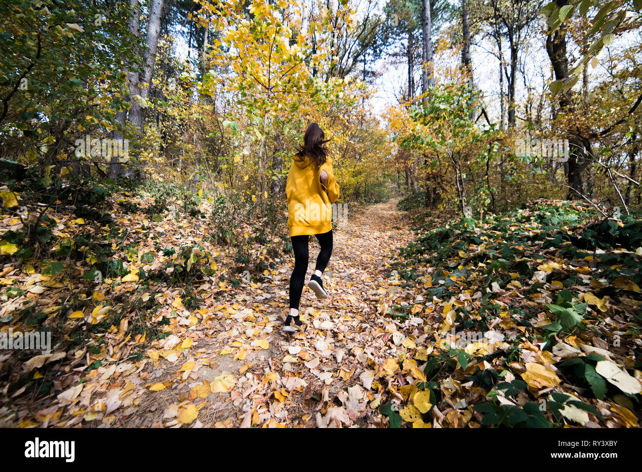 Beautiful girl running trough forest in autumn Stock Photo - Alamy