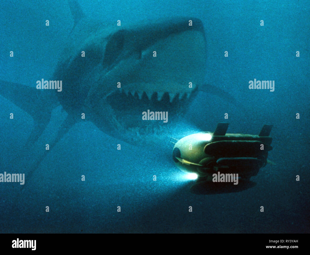 Megalodon High Resolution Stock Photography and Images - Alamy