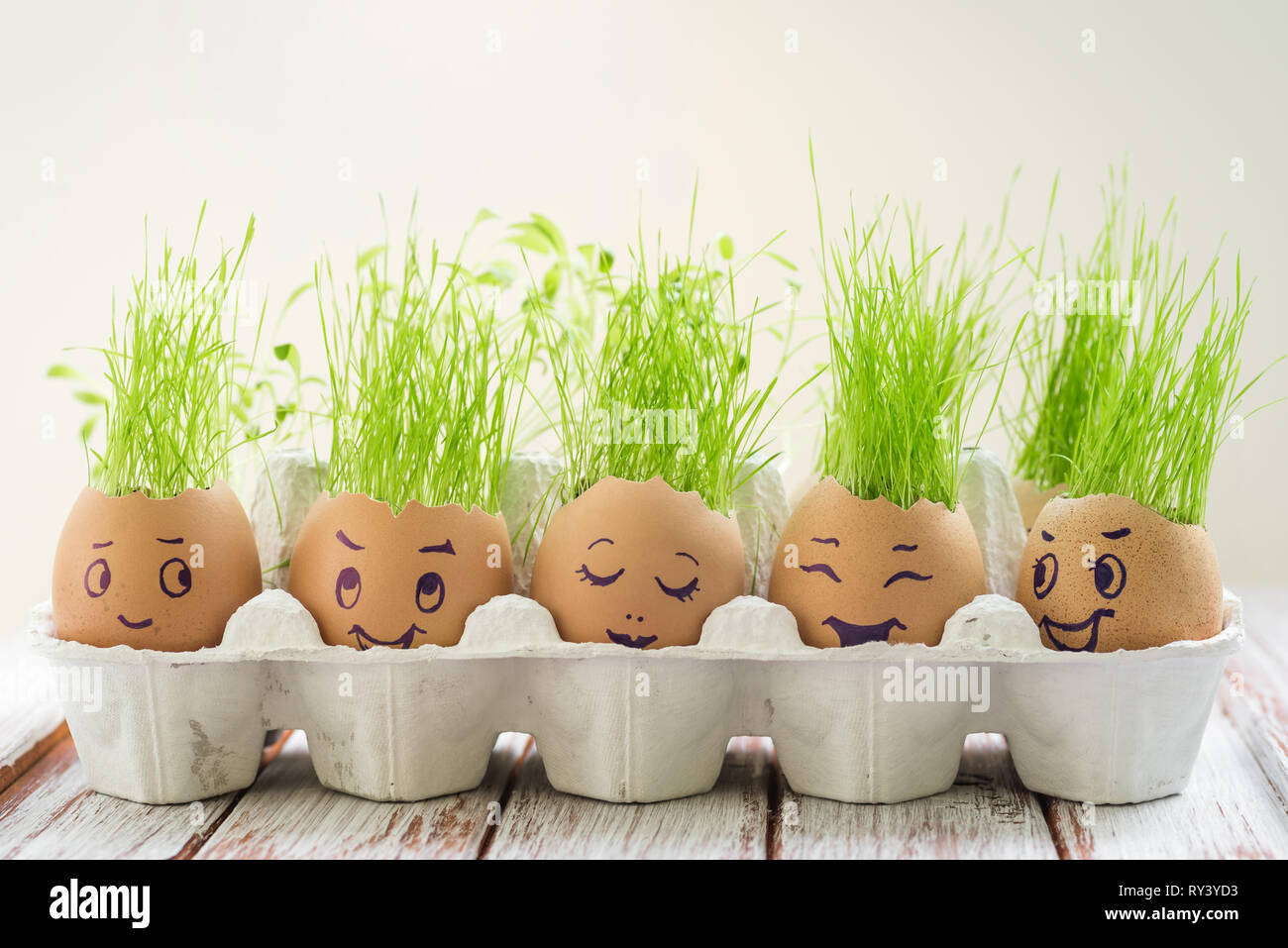 The fresh green grass growing in an egg shell with the funny persons ...