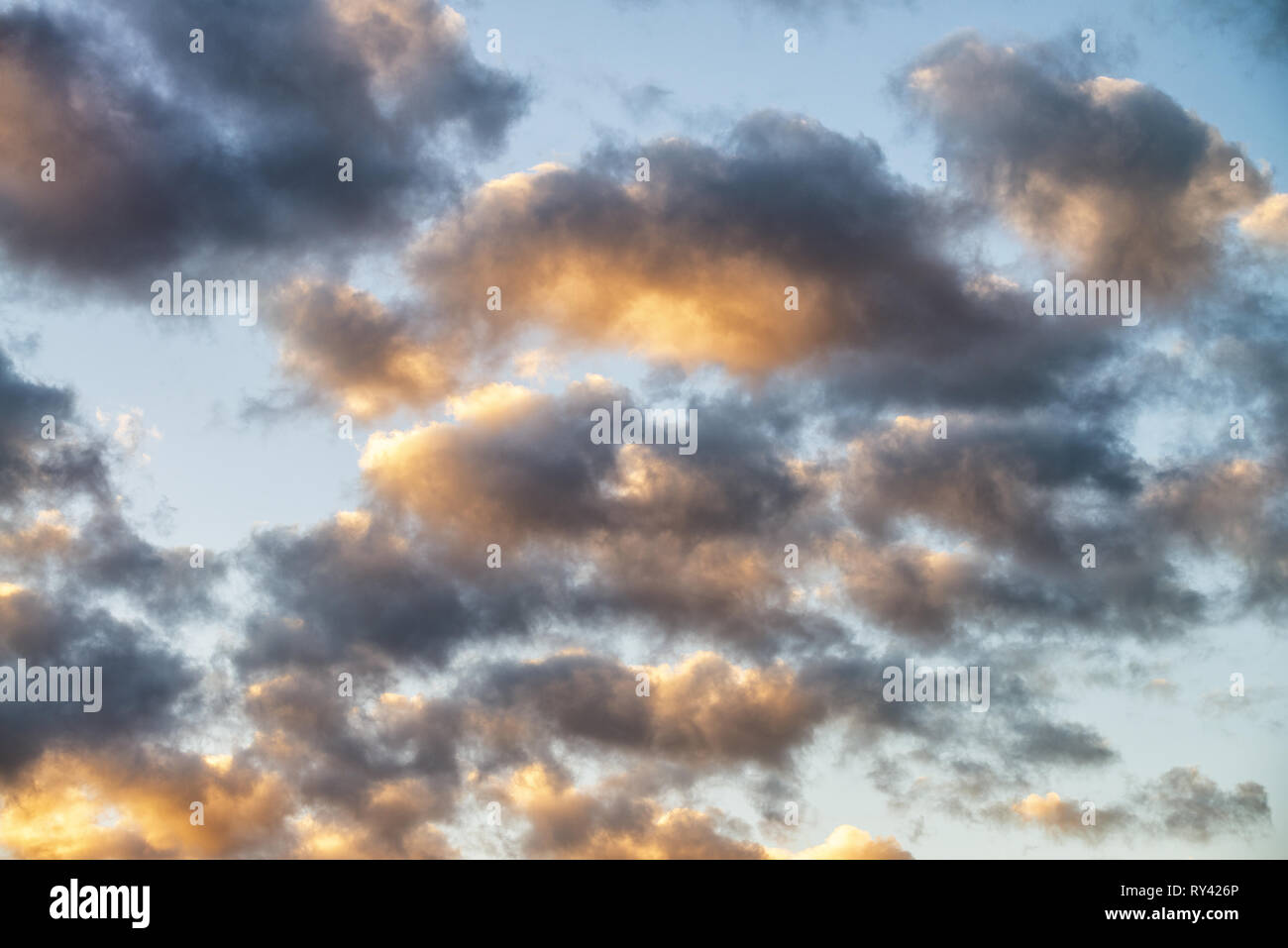 Yellowish clouds hi-res stock photography and images - Alamy