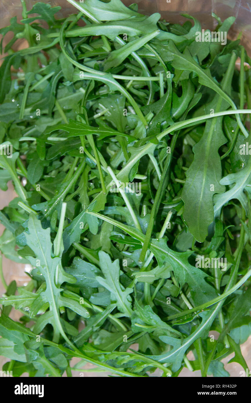 Green arugula leaves on wooden cutting board. Fresh rucola in the ...