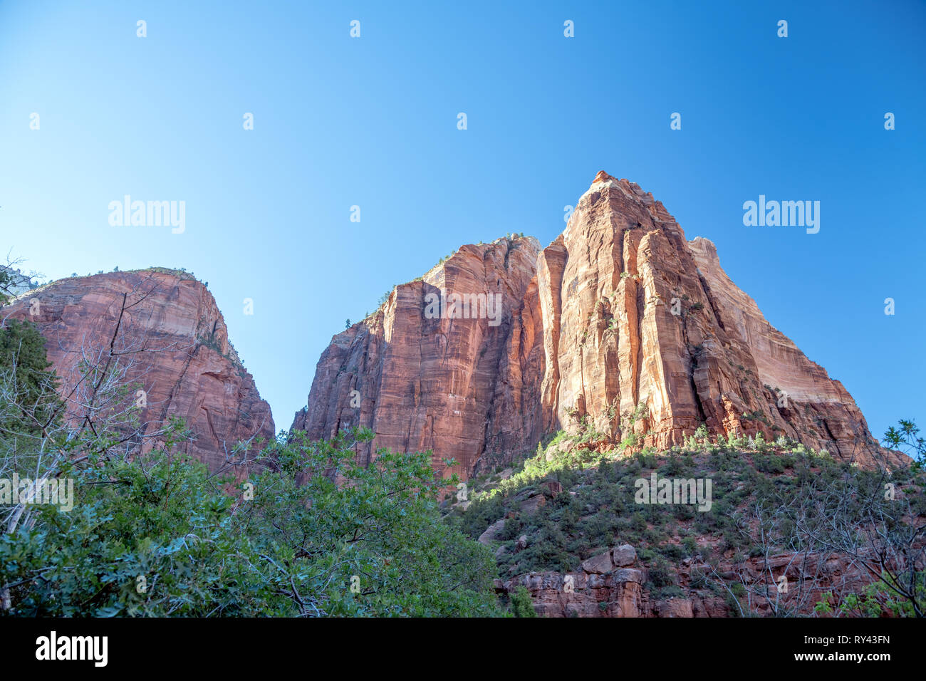 Mountains of Zion National Park, Utah Stock Photo - Alamy
