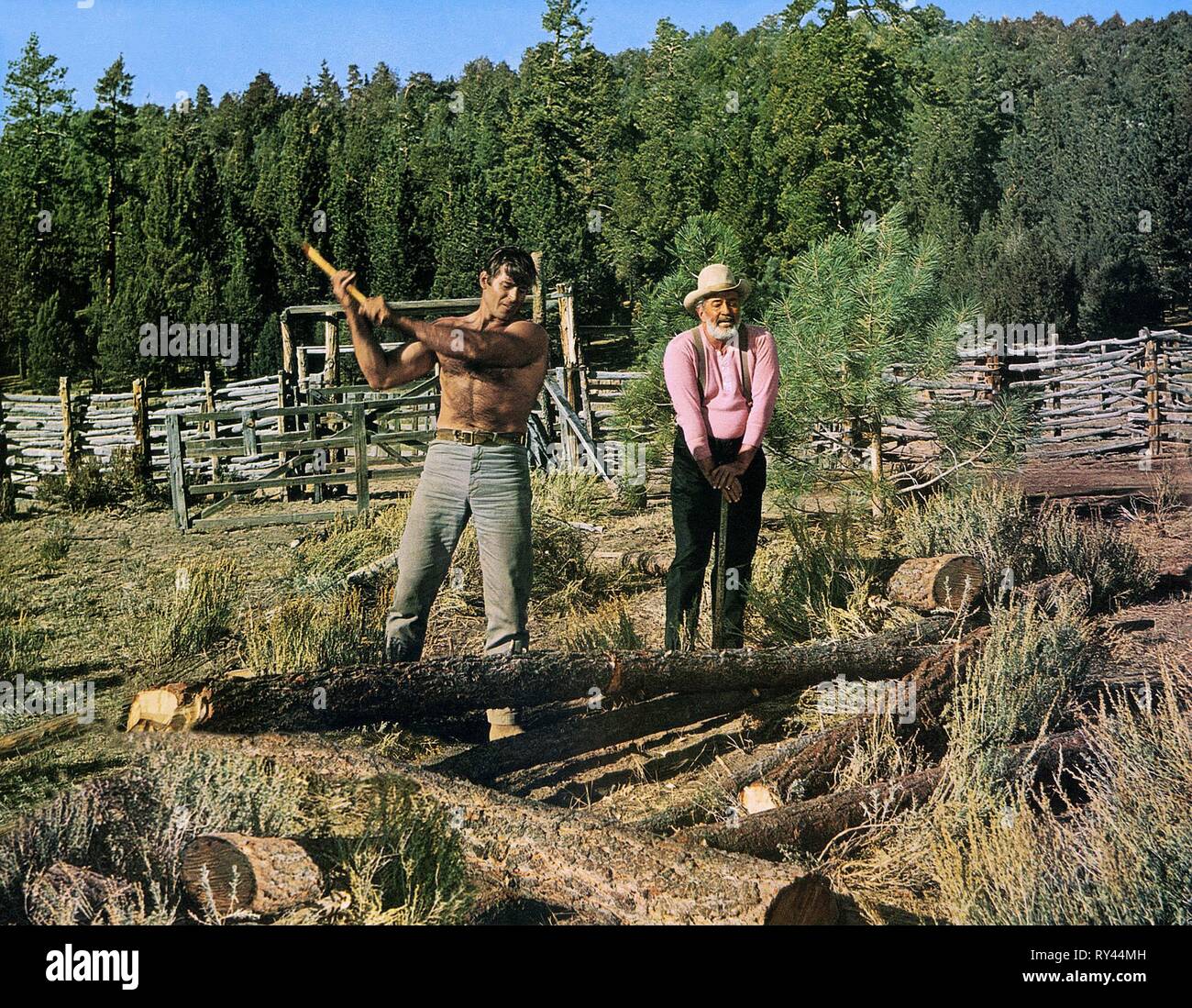 CLINT WALKER, THE NIGHT OF THE GRIZZLY, 1966 Stock Photo - Alamy