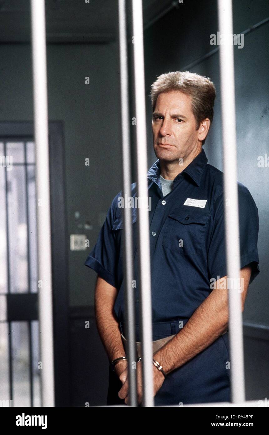 Scott Bakula High Resolution Stock Photography and Images - Alamy