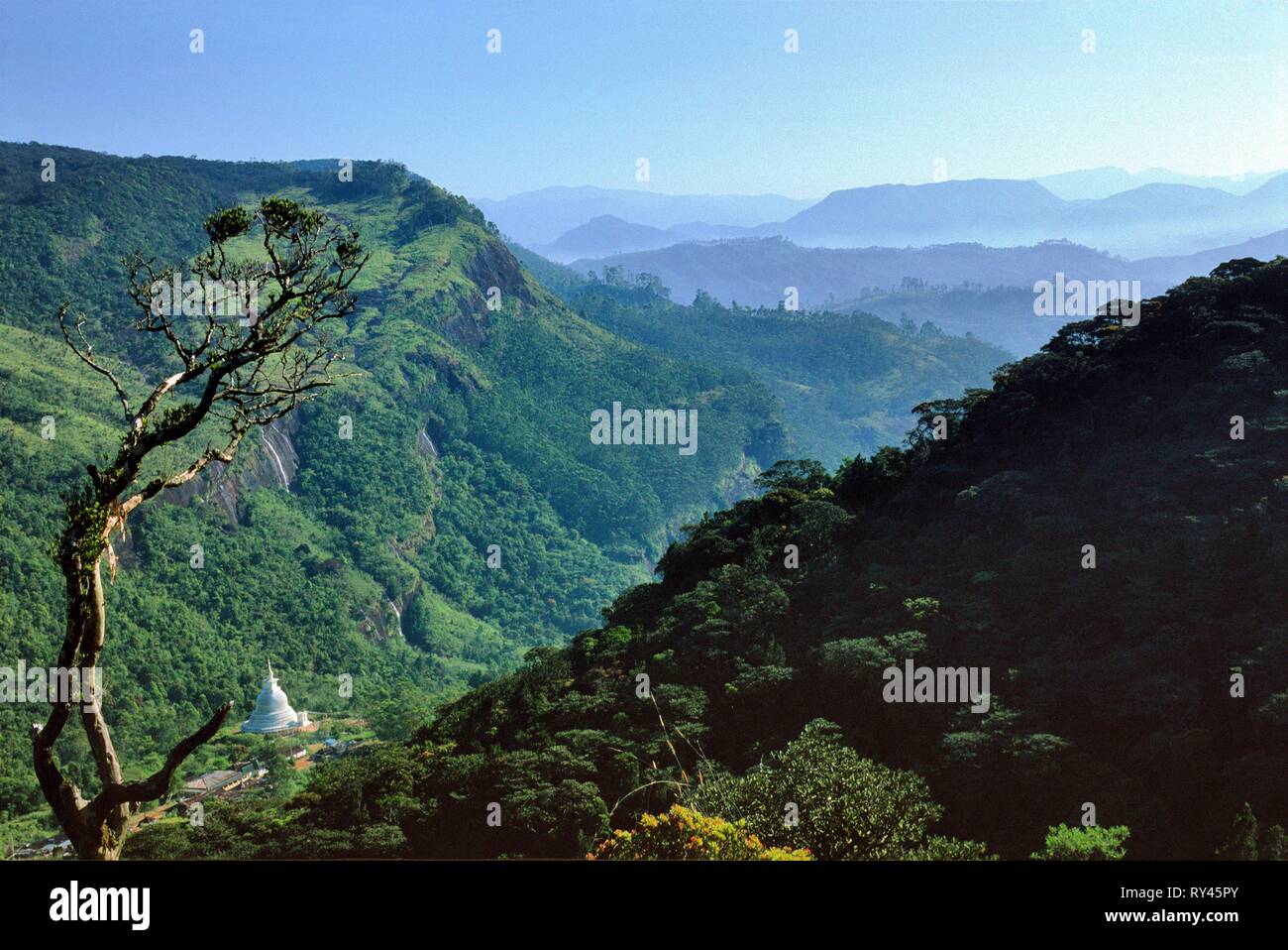 Sri pada adam footprint hi-res stock photography and images - Alamy