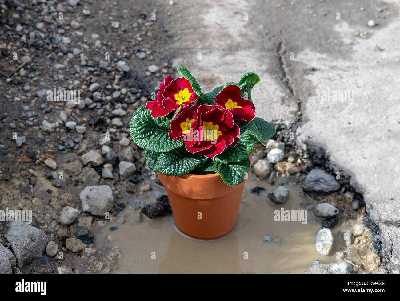 Pot hole funny hi-res stock photography and images - Alamy