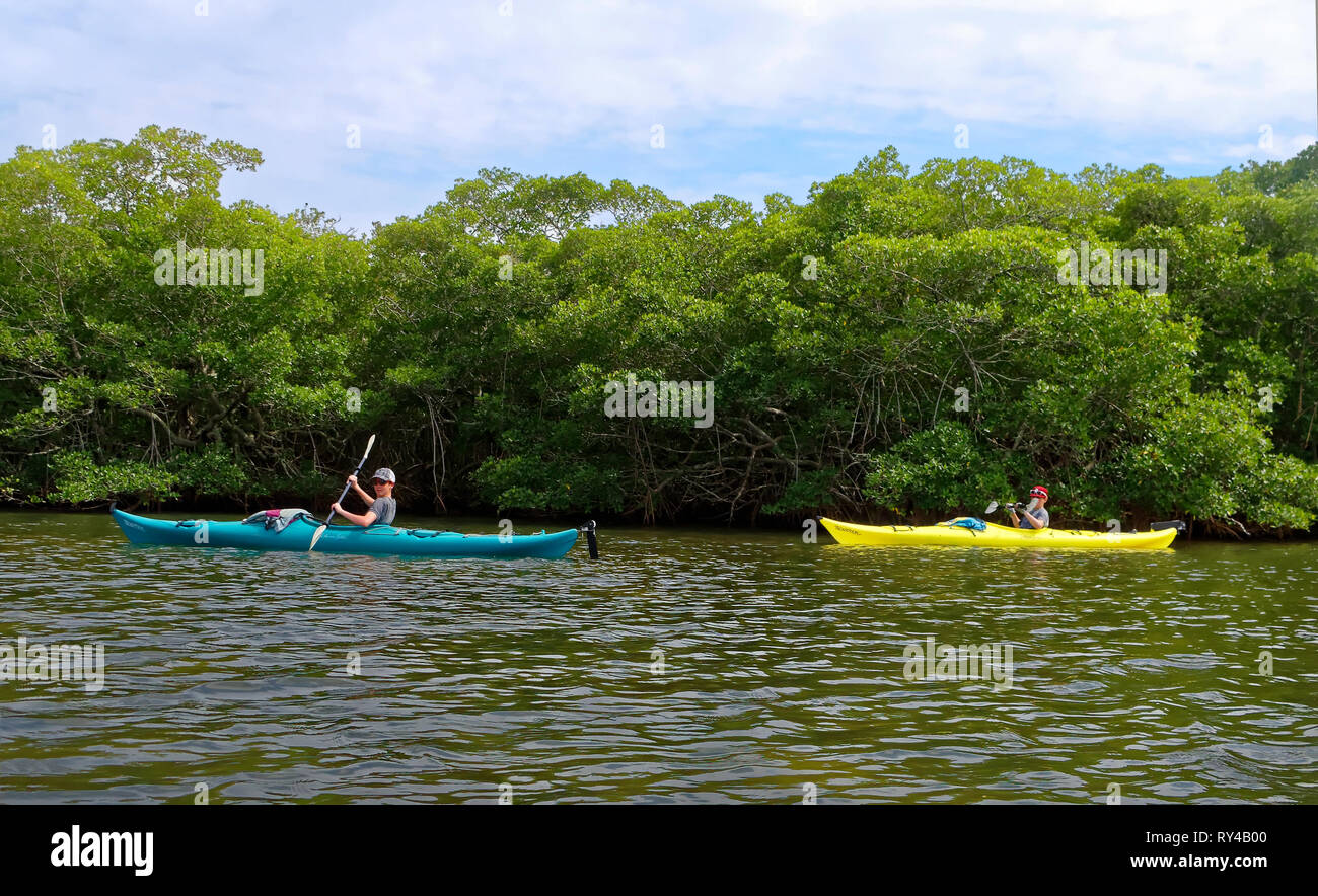 2 teen boys kayaking, sport, recreation, fun, boats, paddles ...