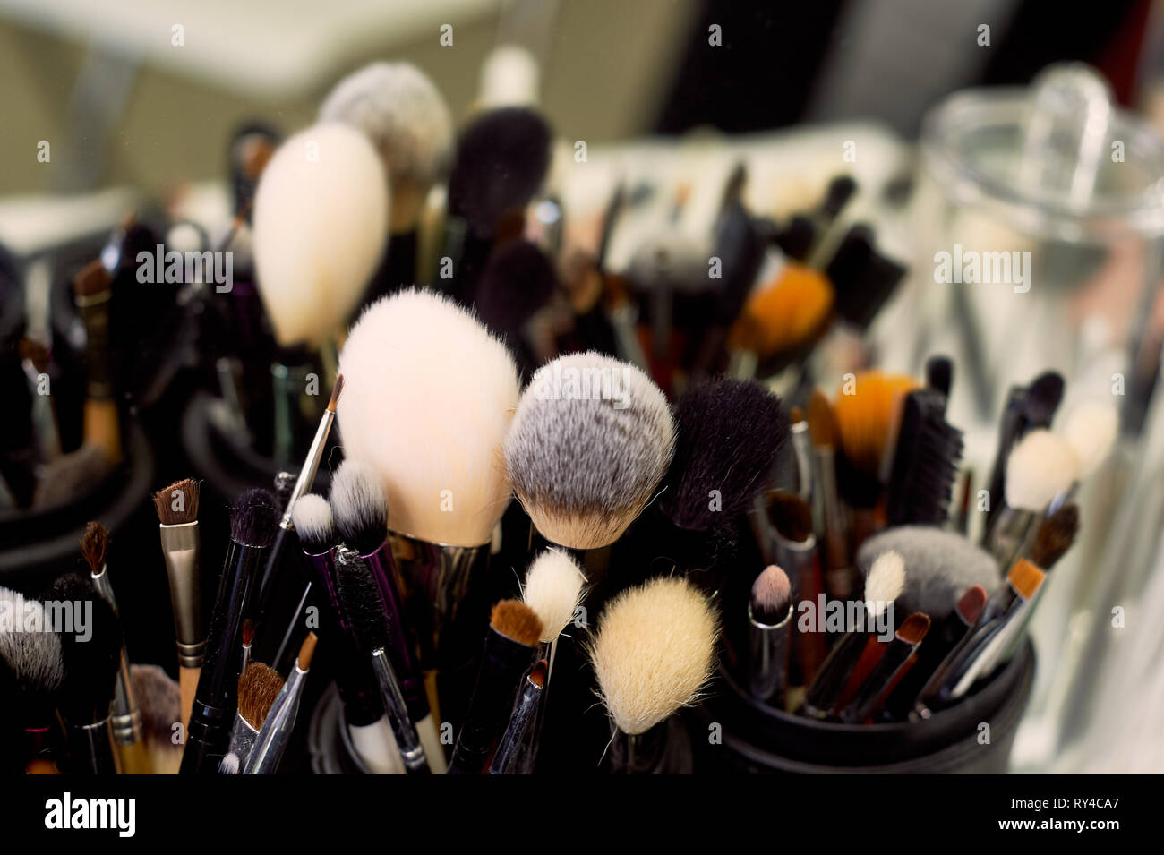 Makeup Artist Brushes