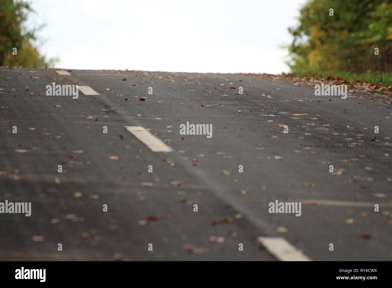 Road building national forest hi-res stock photography and images - Alamy