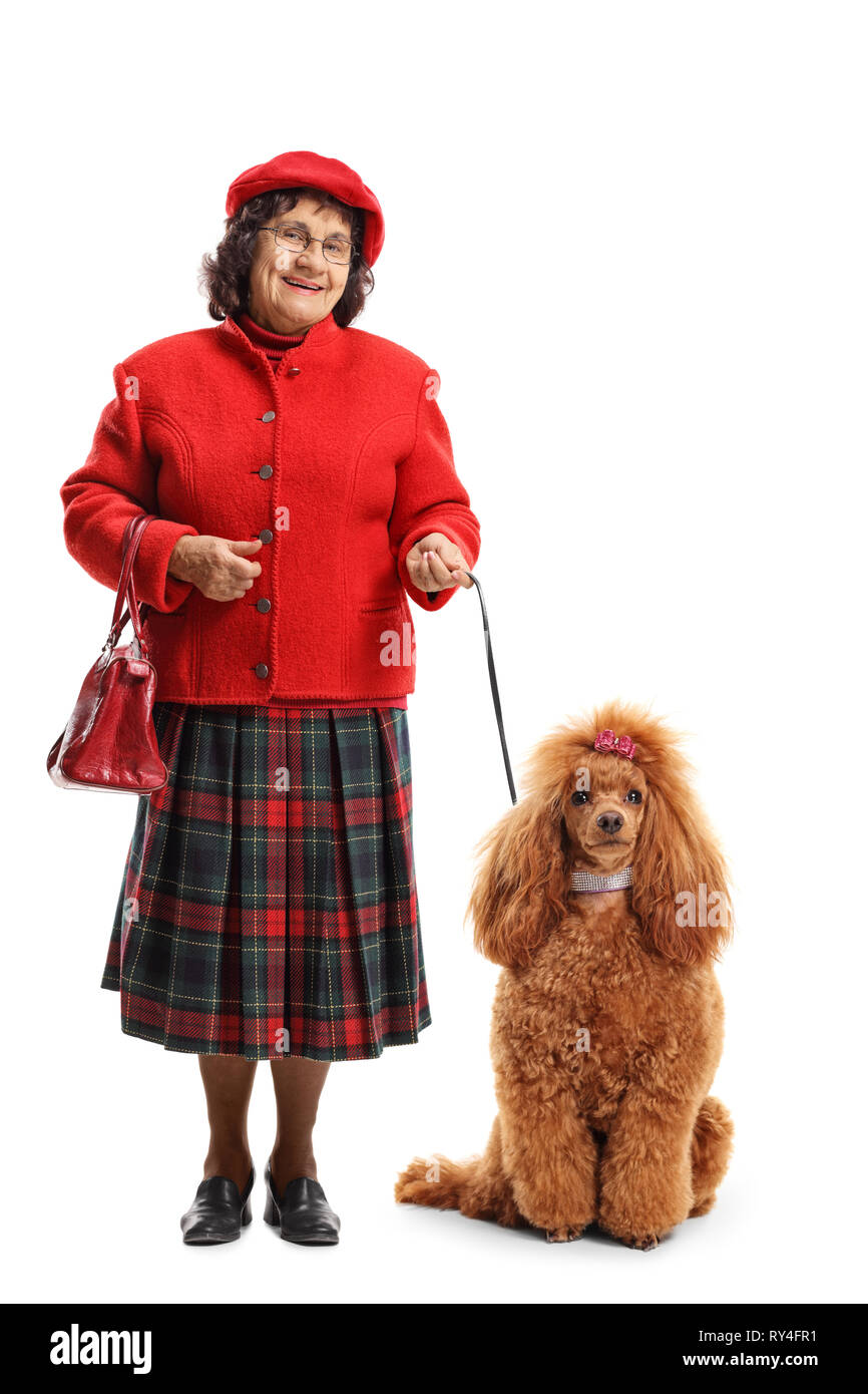 When Are Poodles Senior