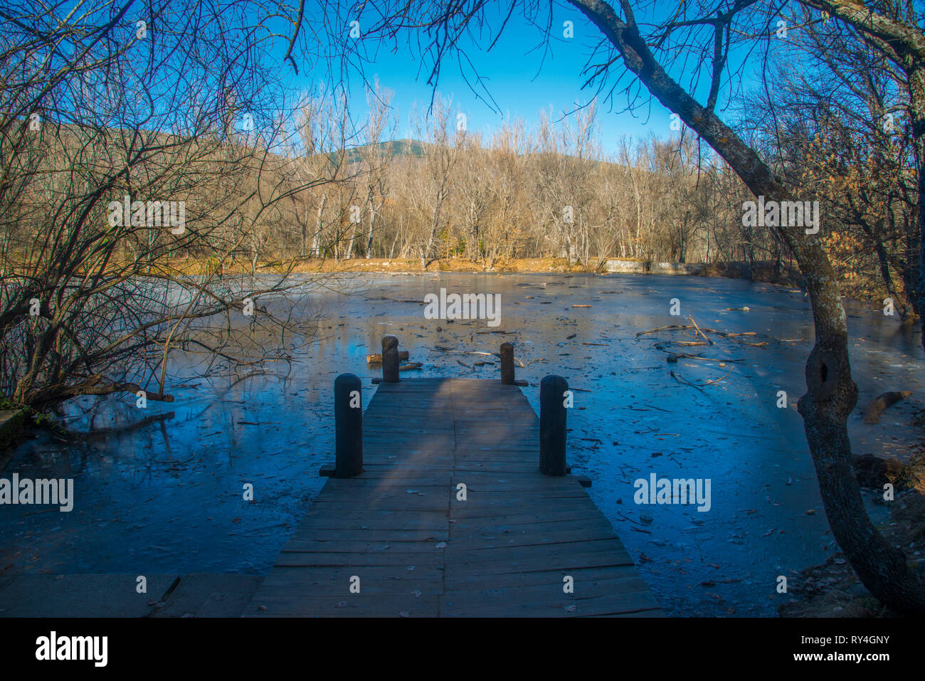 Frozen pond. Finnish Forest, Rascafria, Madrid province, Spain Stock ...