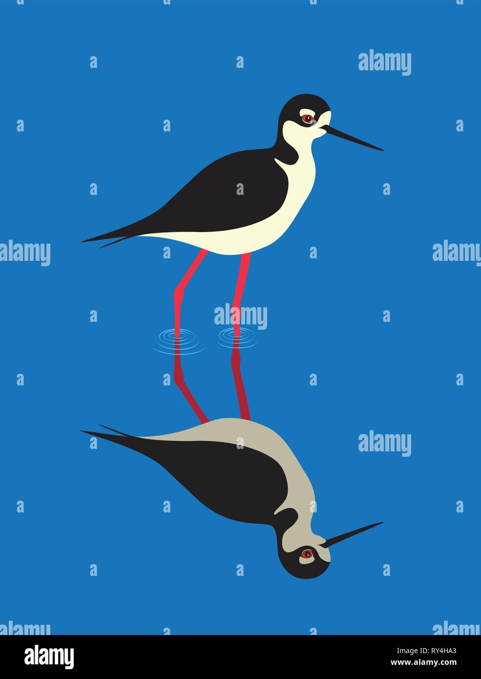 Stilt birds Stock Vector Images - Alamy
