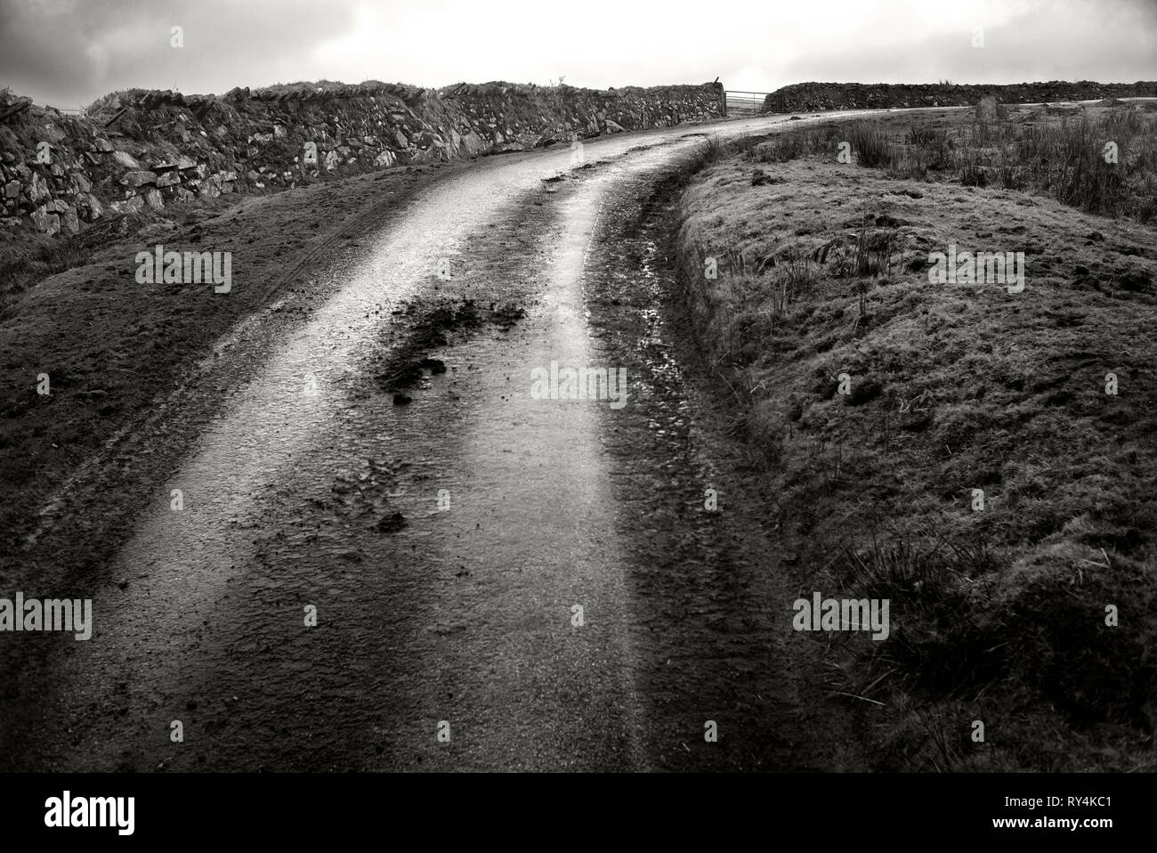 Pathway sunsett hi-res stock photography and images - Alamy