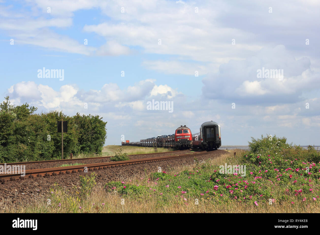 Trains meet on the Hindenburgdamm off the island of Sylt Stock Photo ...