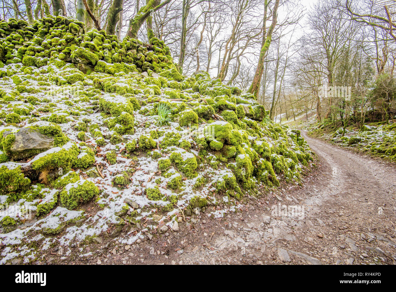 Vehicle track to Ellerbeck Stock Photo - Alamy