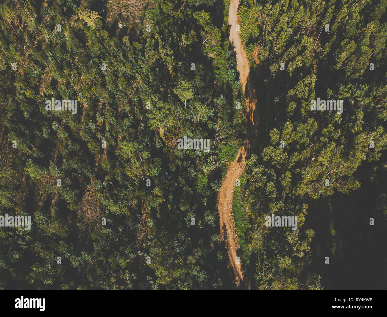 Aerial view from a path in a forest. Drone photo Stock Photo - Alamy