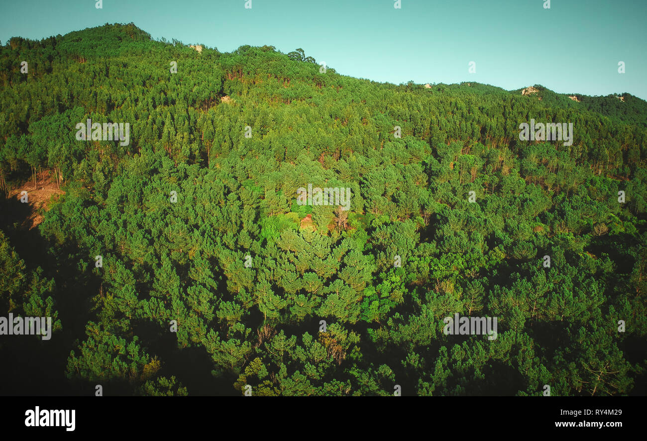 Jungle shot drone hi-res stock photography and images - Alamy