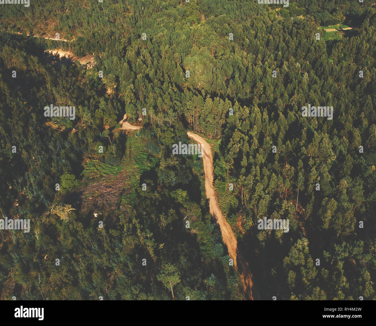 Aerial view from a path in a forest. Drone photo Stock Photo - Alamy