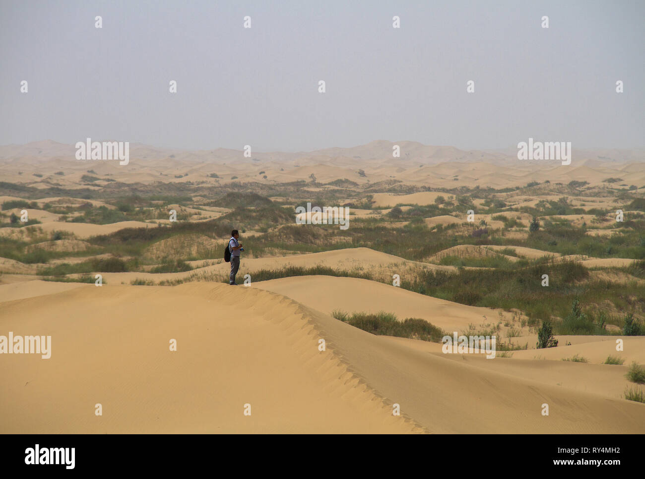 The gobi desert desertification hi-res stock photography and images - Alamy