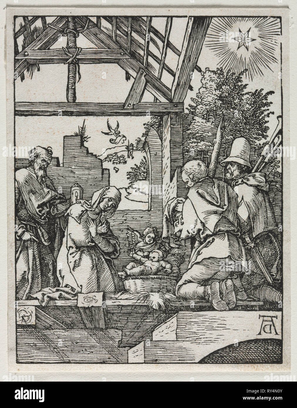 Small passion durer hi-res stock photography and images - Alamy