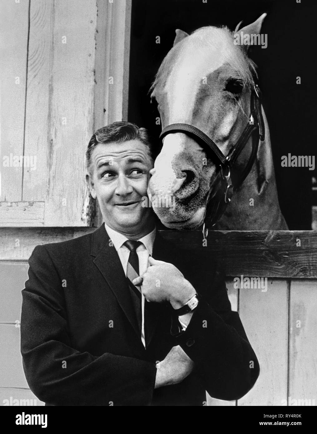 Mr ed tv hi-res stock photography and images - Alamy